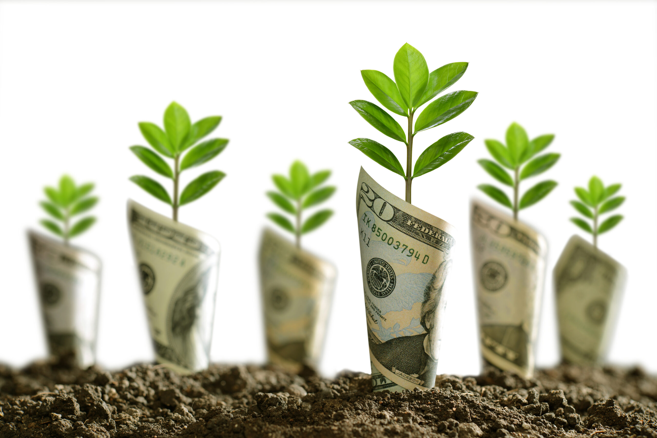 Growing a Lending Organization in Today’s Environment - ABF Journal